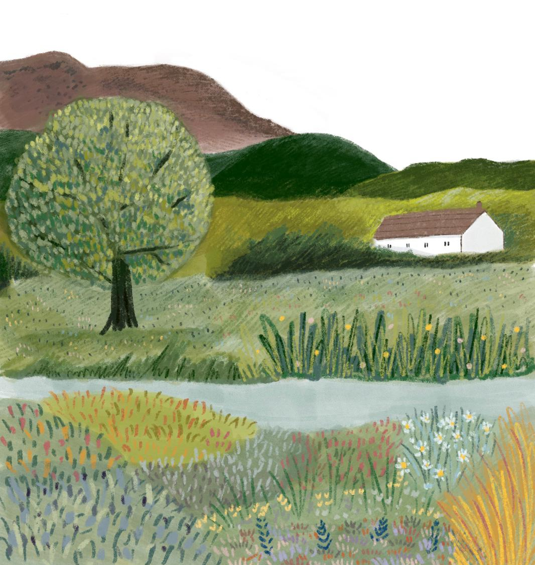 Caitlin Saunders – New book: 'A year on the back of an envelope'